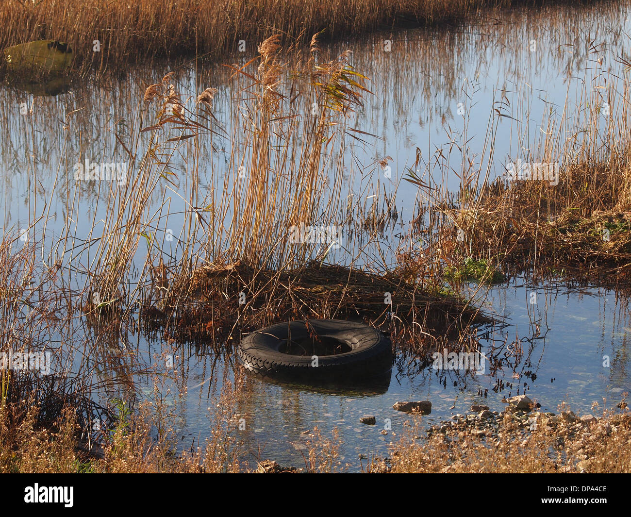 old tyre in the river Stock Photo - Alamy