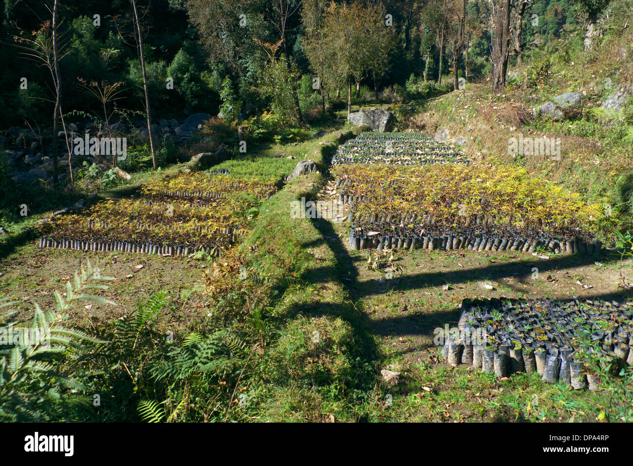 Indian government hi-res stock photography and images - Alamy