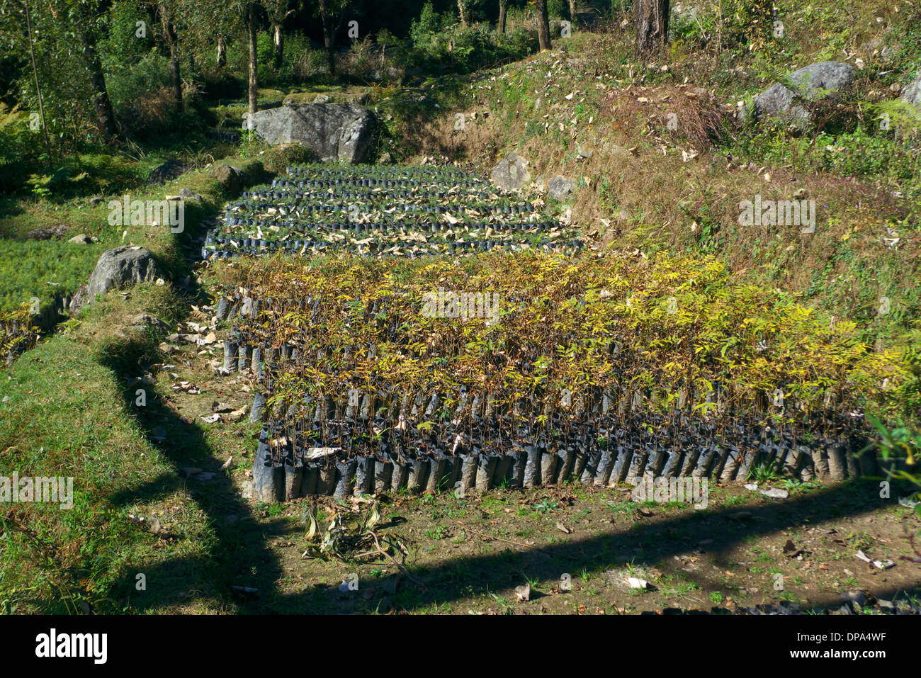 Indian government hi-res stock photography and images - Alamy