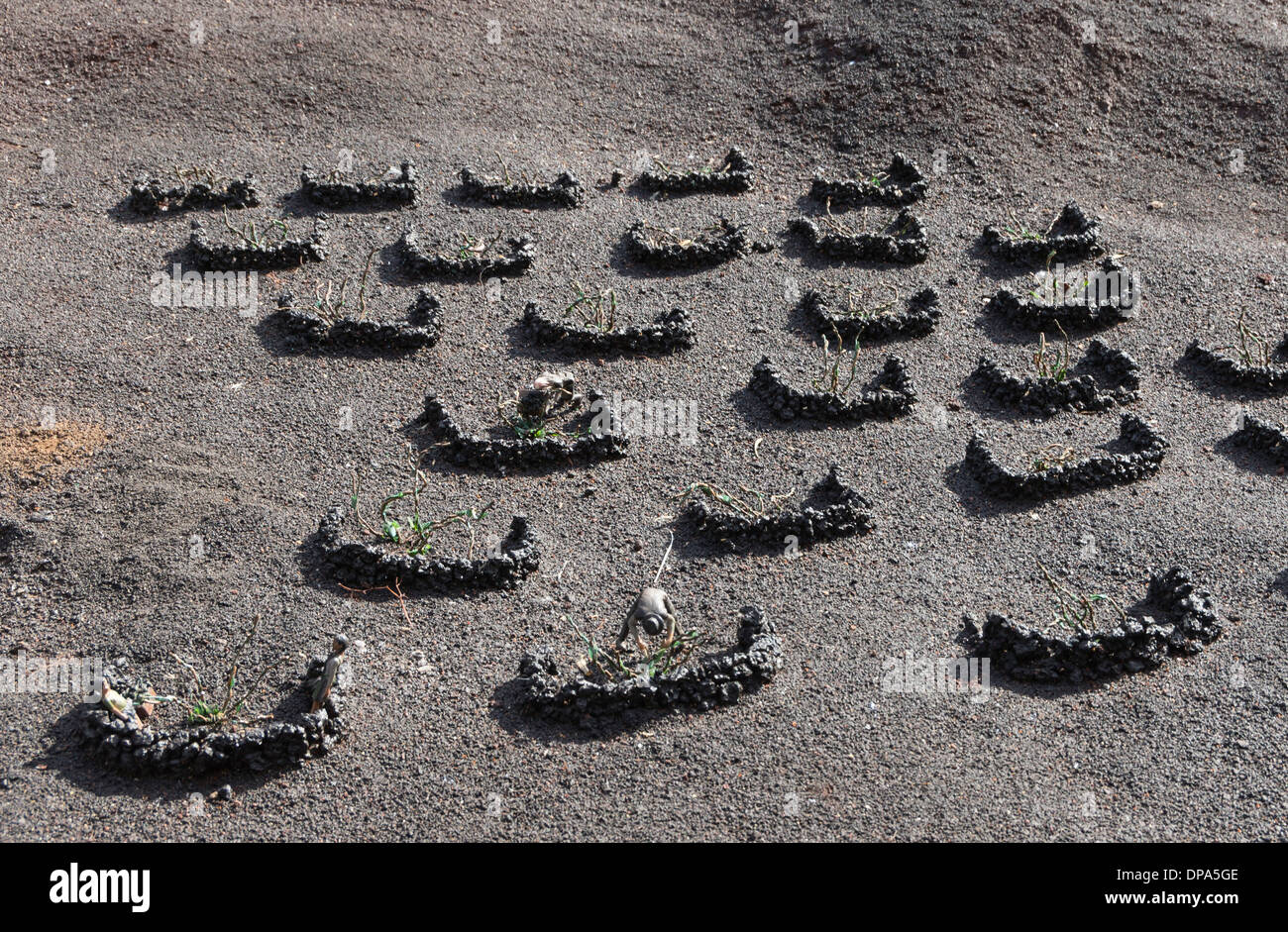 Tenerife, Canary Islands - Pueblo Chico, visitor attraction, model ...