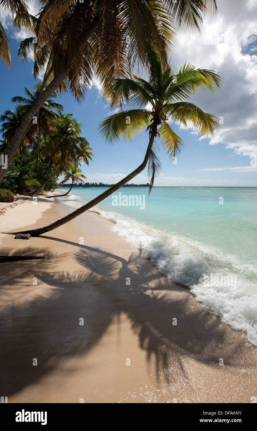 Pigeon point, Tobago, The Caribbean Stock Photo - Alamy