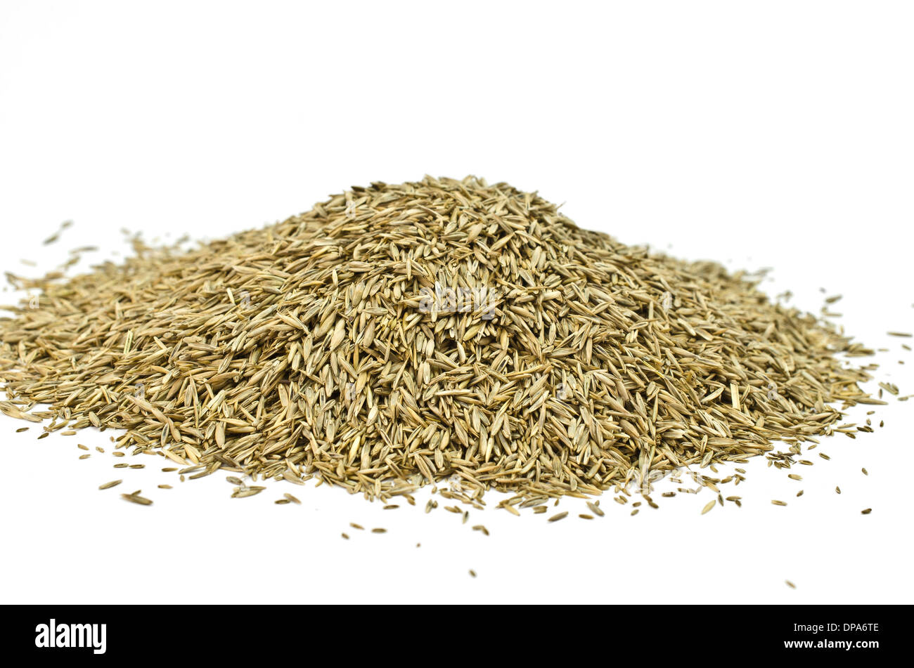 Lawn seeds against white background Stock Photo - Alamy