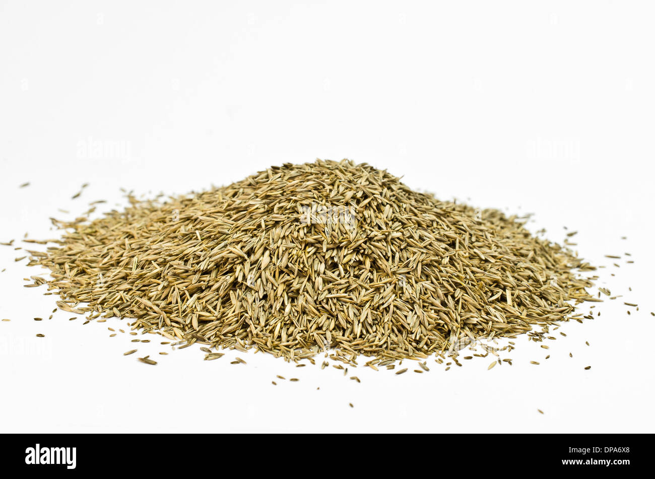 Lawn grass seed hi-res stock photography and images - Alamy