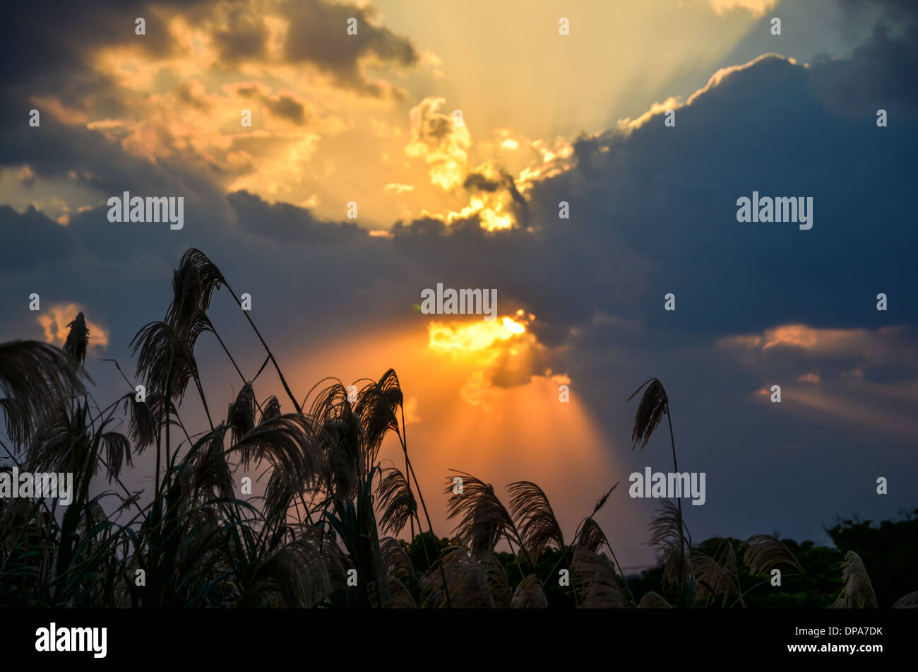 Dark clouds at sunset hi-res stock photography and images - Alamy