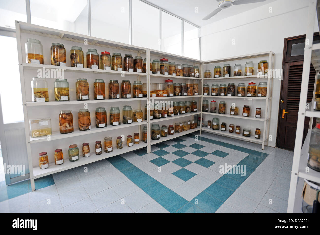 Reference Room High Resolution Stock Photography and Images - Alamy