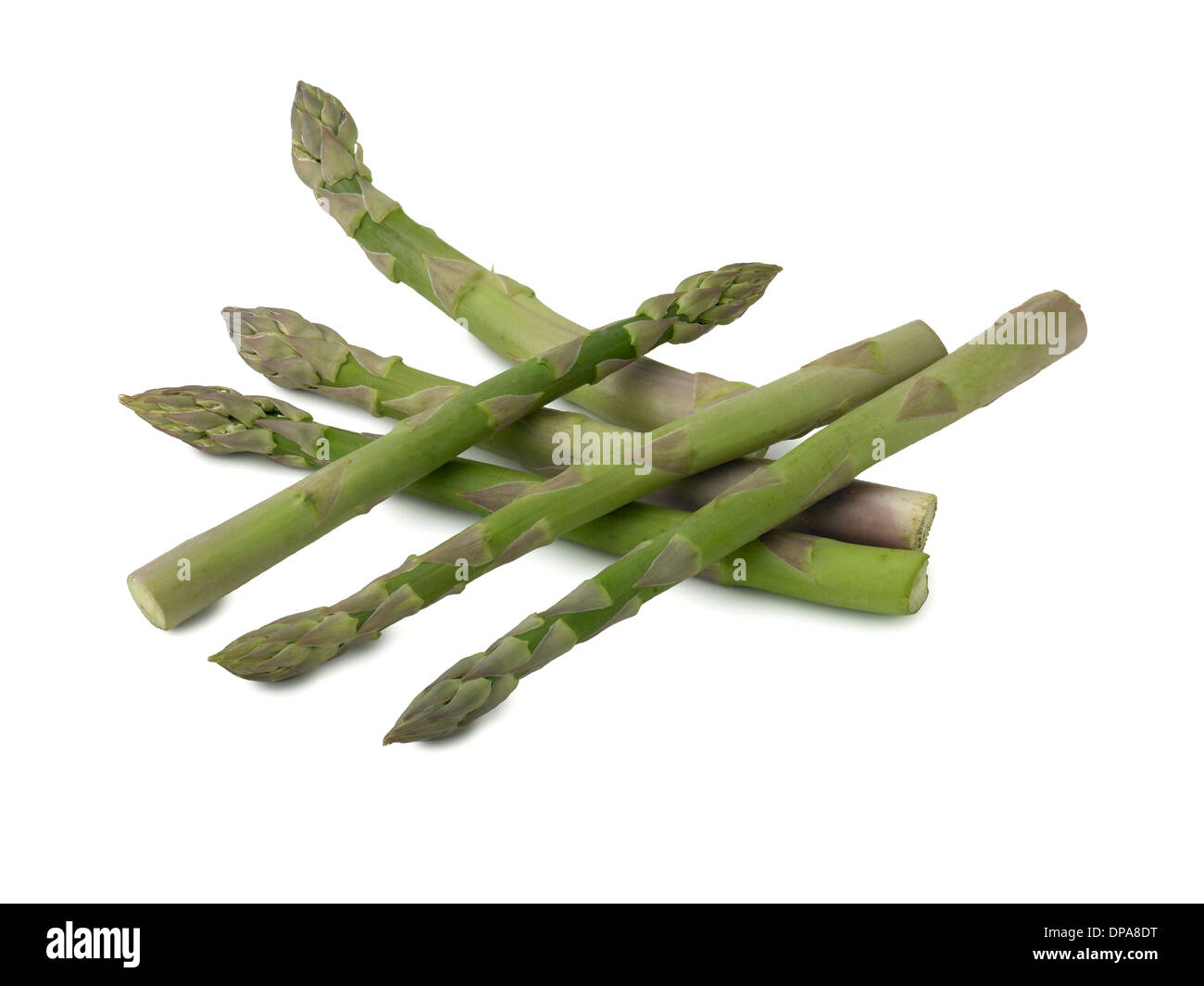 White asparagus growing hi-res stock photography and images - Alamy