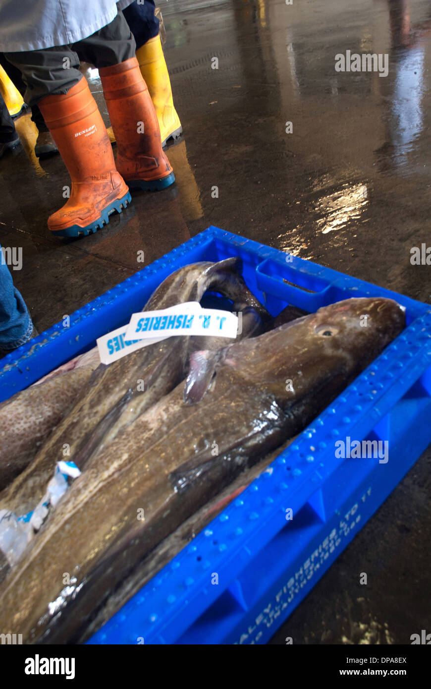 Fishmonger fish box hi-res stock photography and images - Alamy