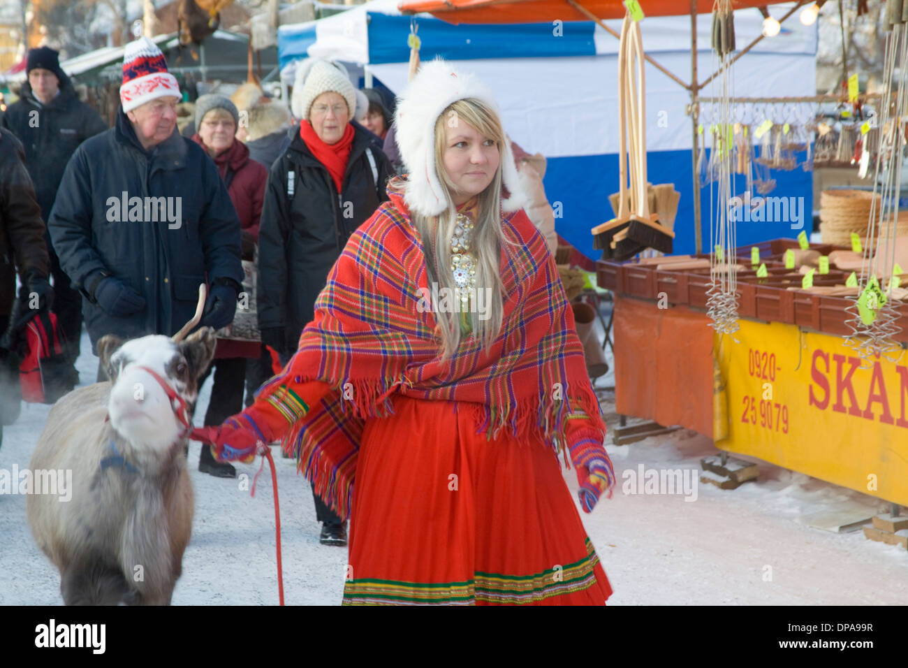 Traditional Reindeer caravan with Same Laplander in Folk costume ...