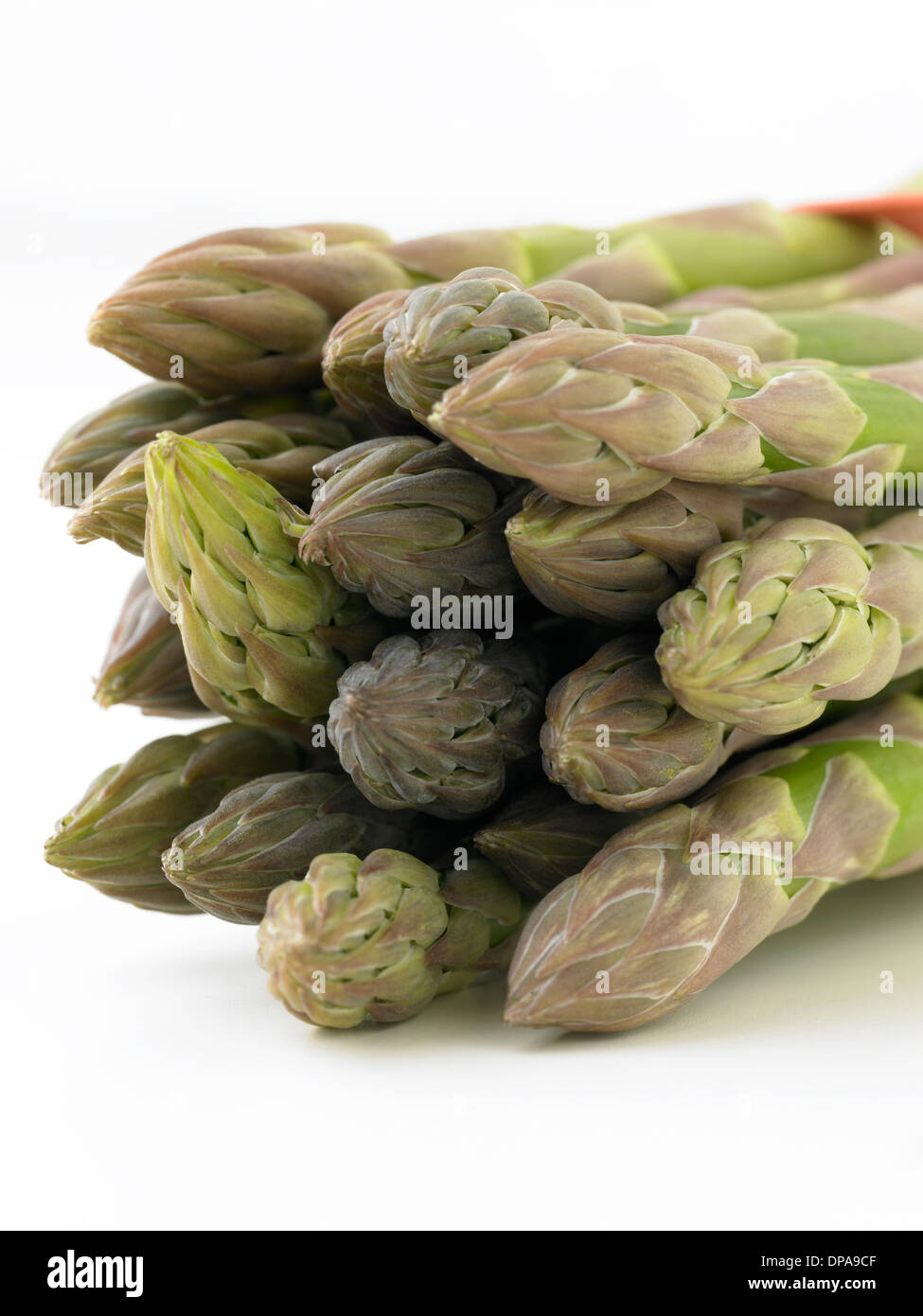 Asparagus tips cut hi-res stock photography and images - Alamy