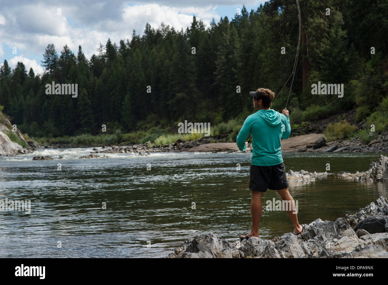 Man fly fishing in the Clark Fork River in Montana Stock Photo - Alamy
