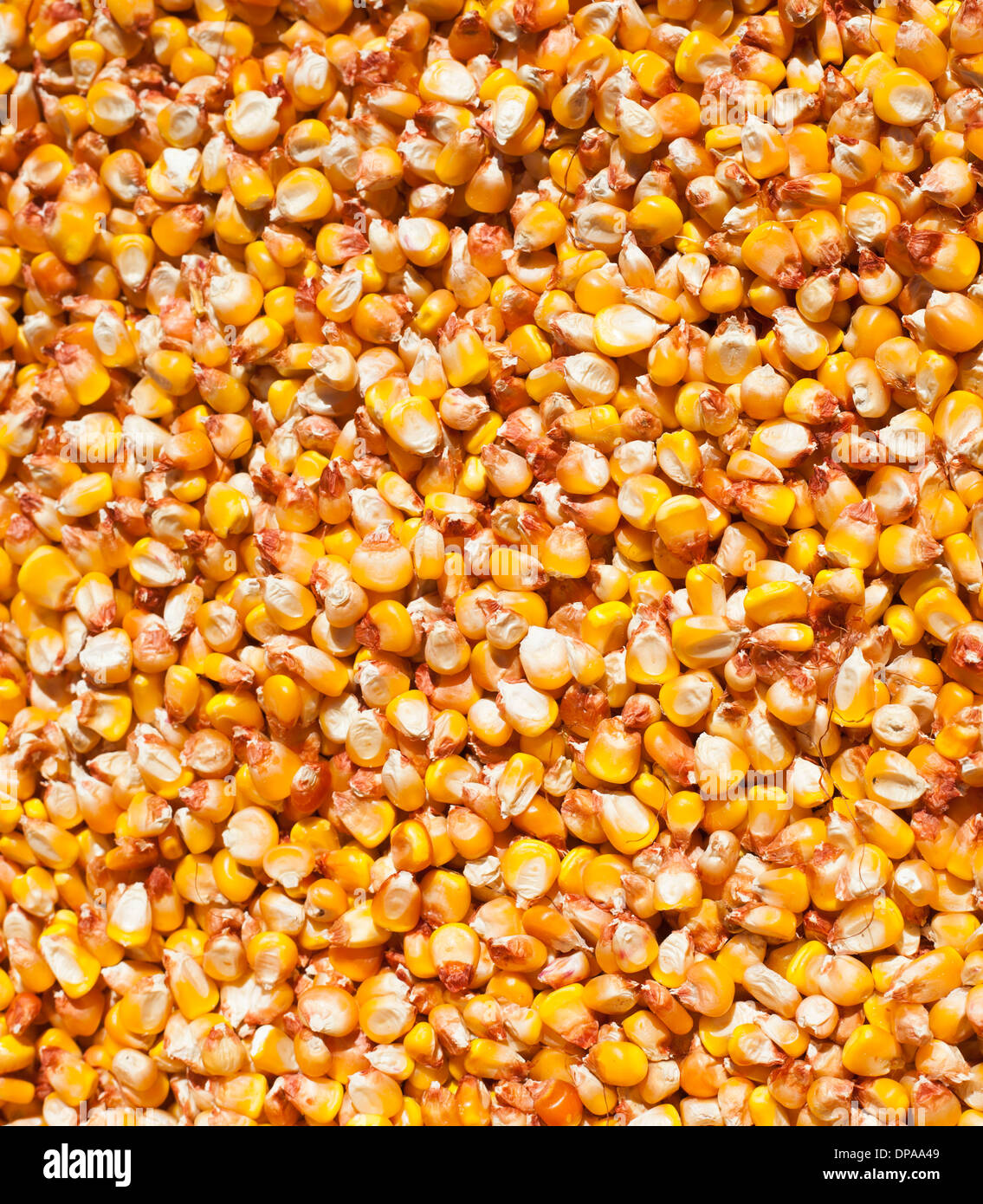 Bulk of corn grains Stock Photo - Alamy
