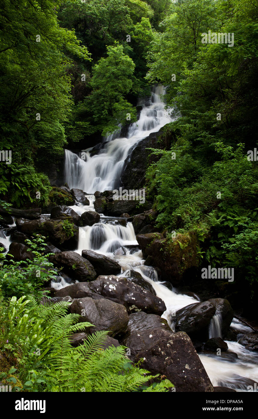 Torc Waterfalls in a forest in Ireland, Europe, inspirational ...