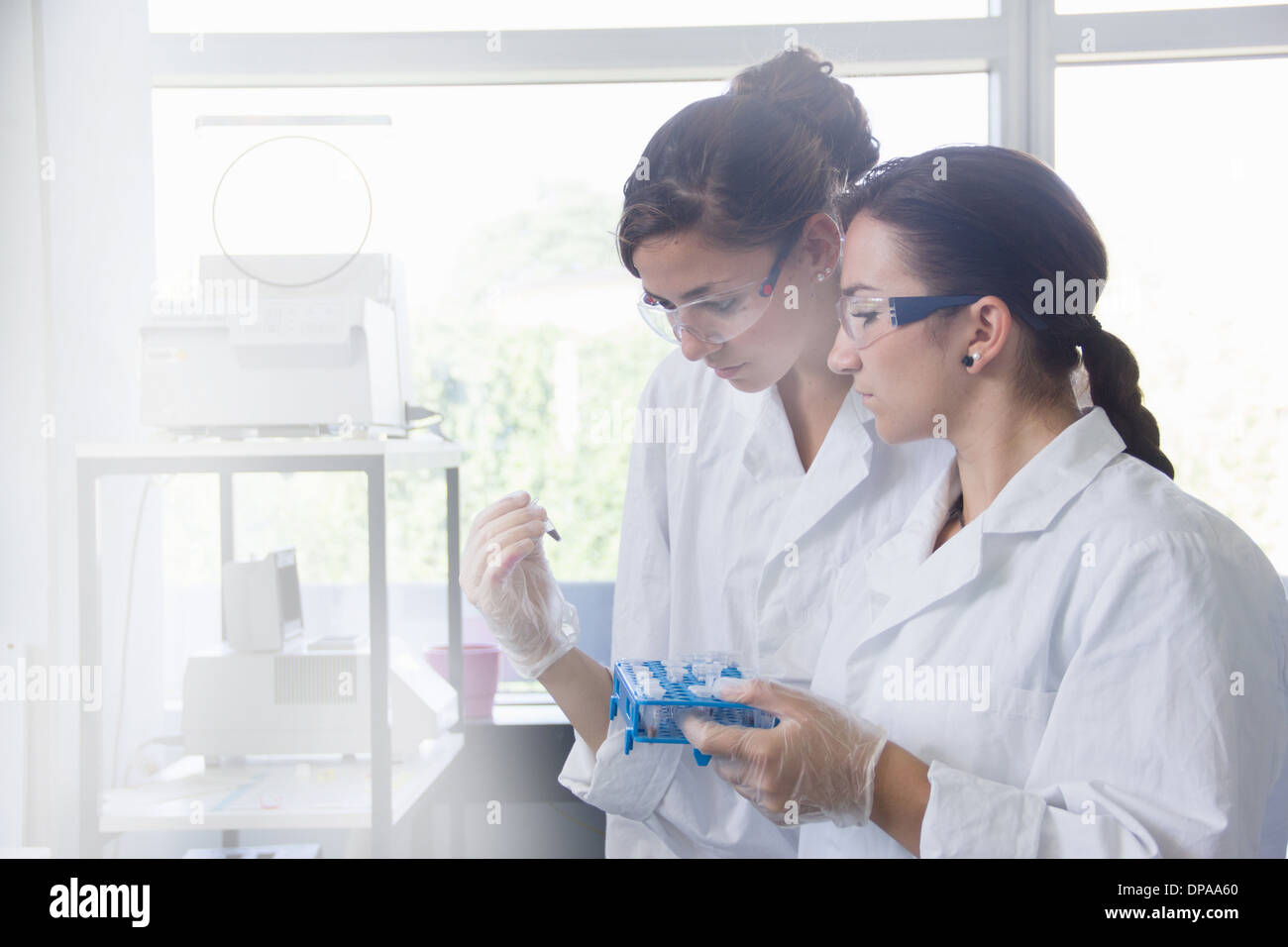 Biology students working in lab Stock Photo - Alamy