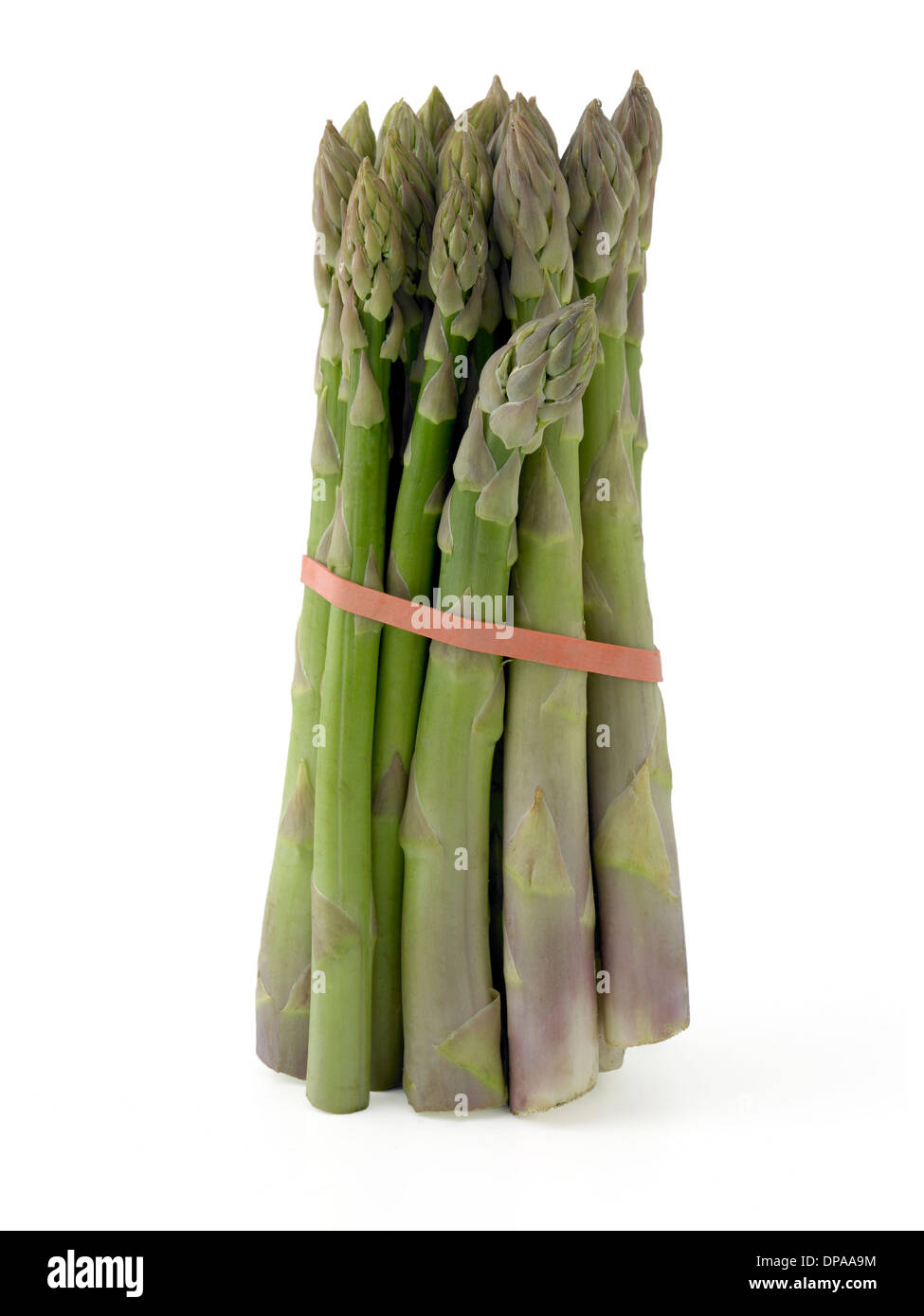 White asparagus growing Cut Out Stock Images & Pictures - Alamy