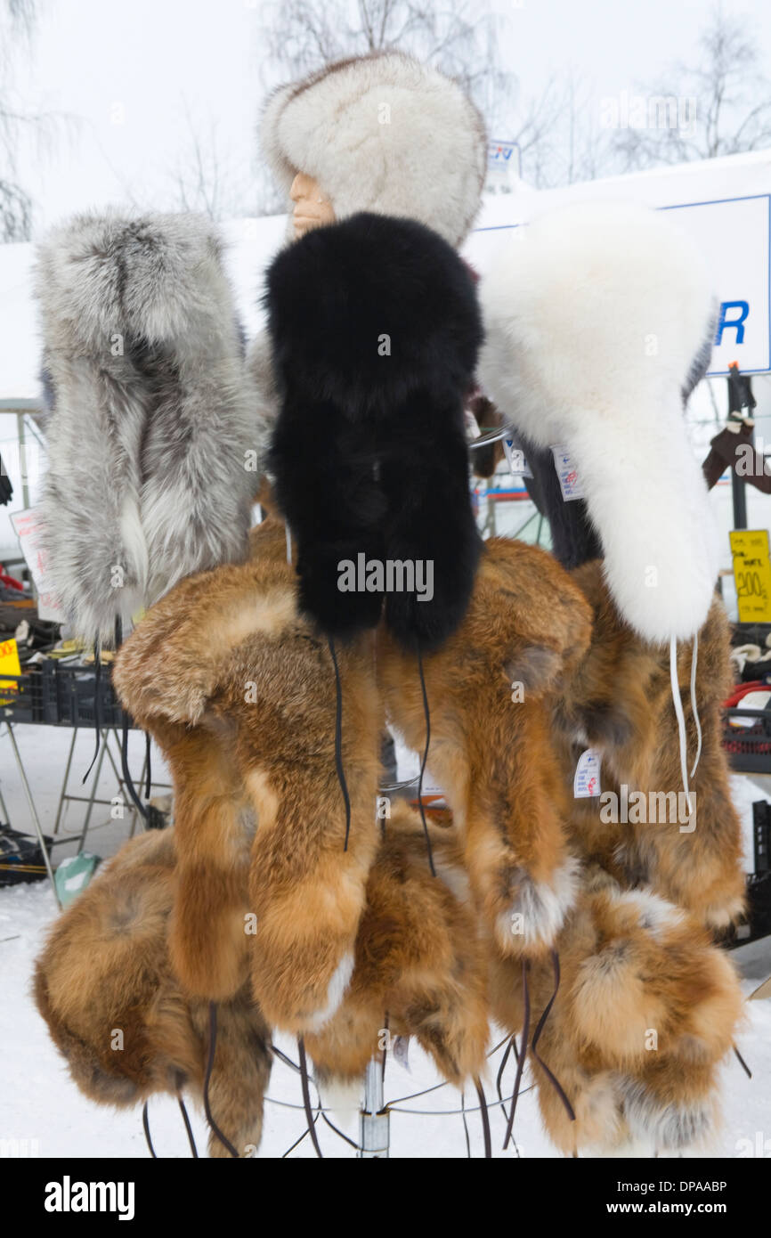 Laplander hi-res stock photography and images - Alamy