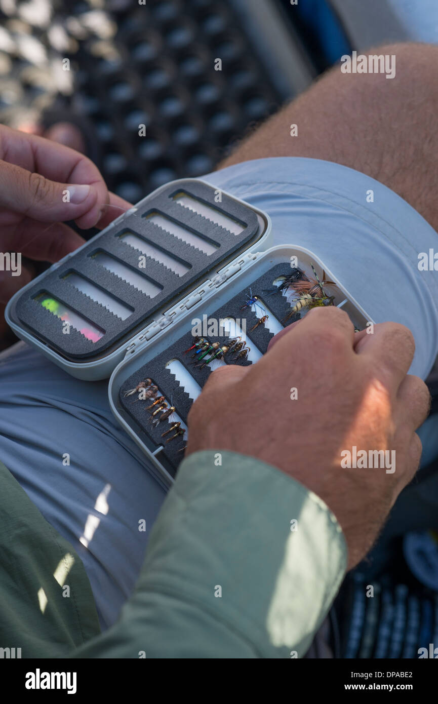 Fly fishing guide with fly box Stock Photo - Alamy