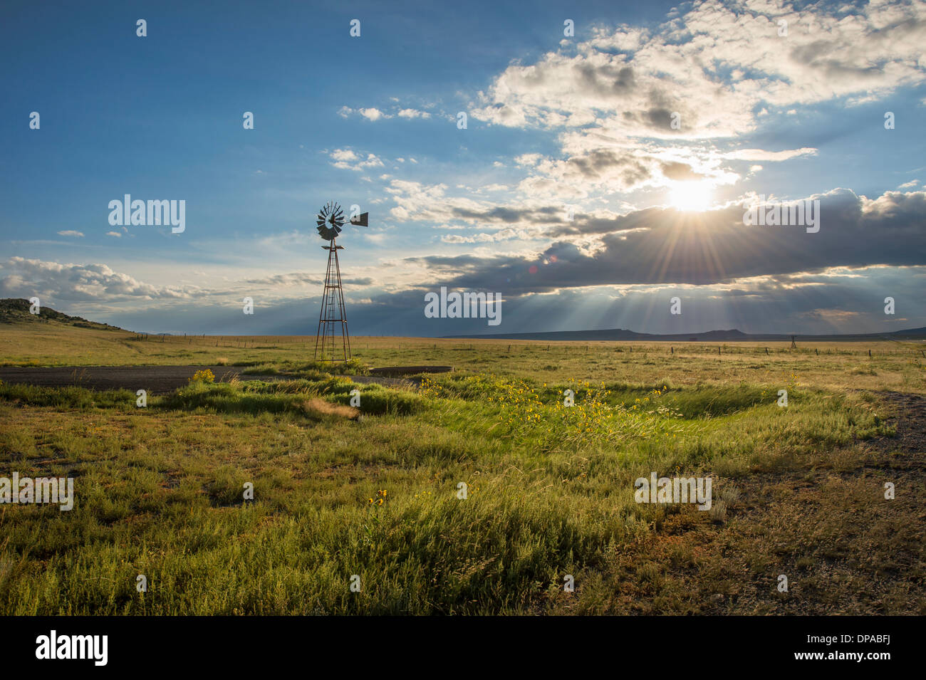 Windmill in an open field in New Mexico Stock Photo - Alamy
