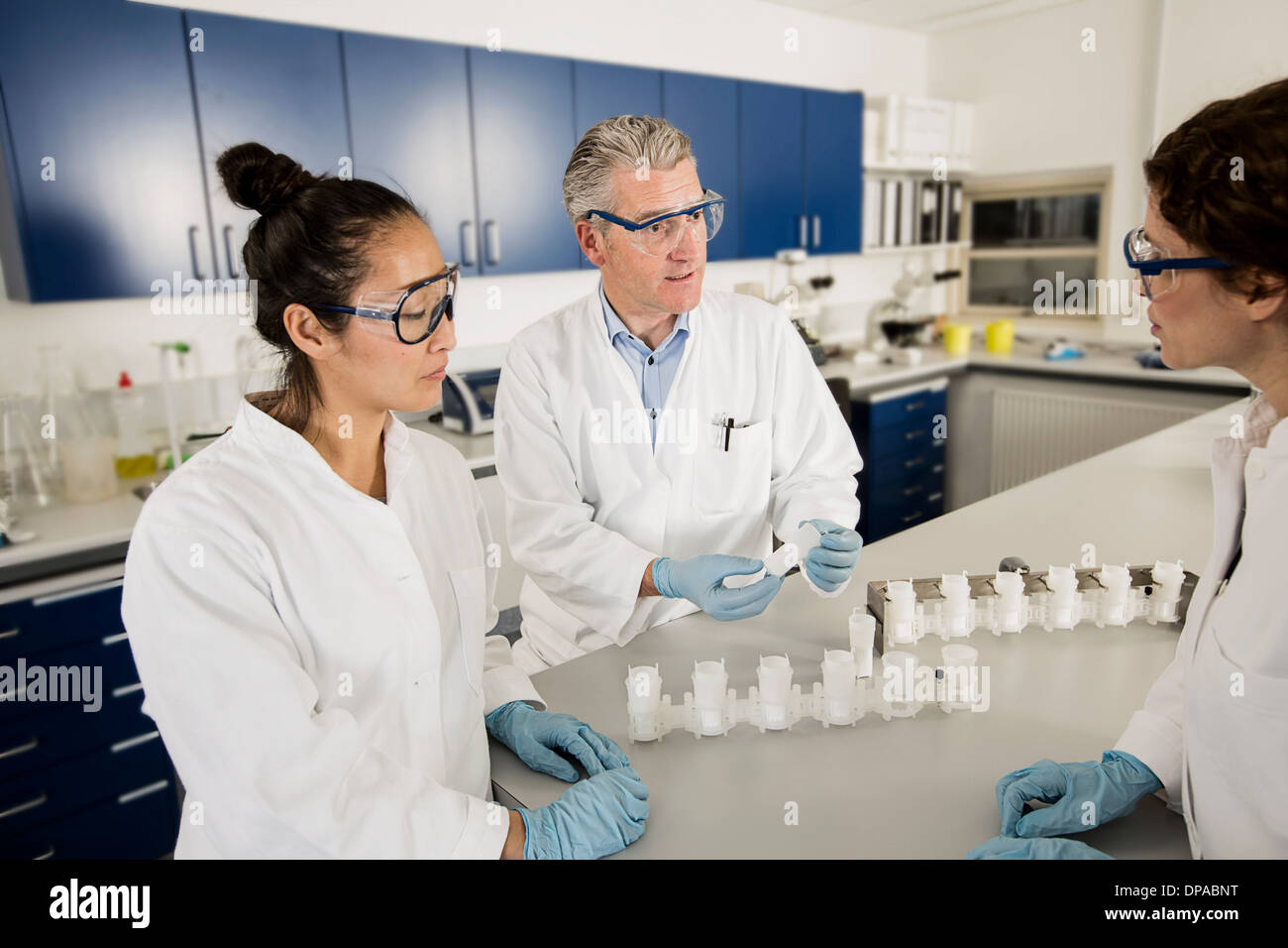 Mature Lab High Resolution Stock Photography and Images - Alamy