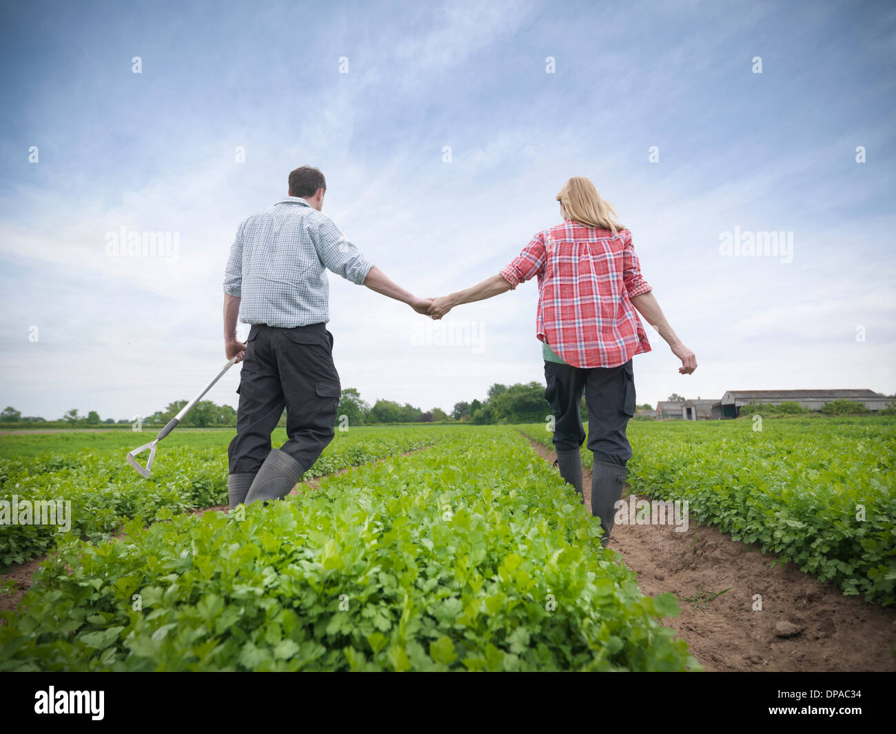 Hand hands on hi-res stock photography and images - Alamy