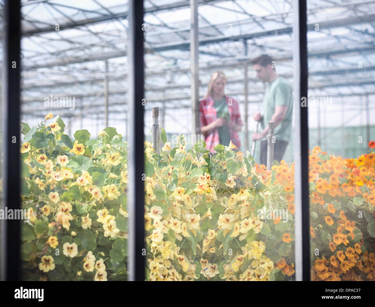 People in greenhouse hi-res stock photography and images - Alamy