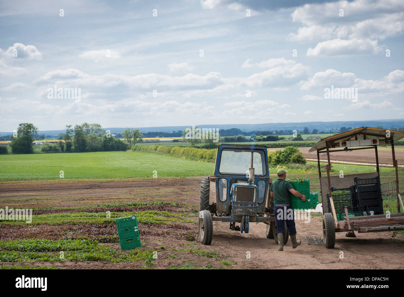Worker carrying plastic crates hi-res stock photography and images - Alamy Worker carrying plastic crates hi-res stock photography and images - Alamy
