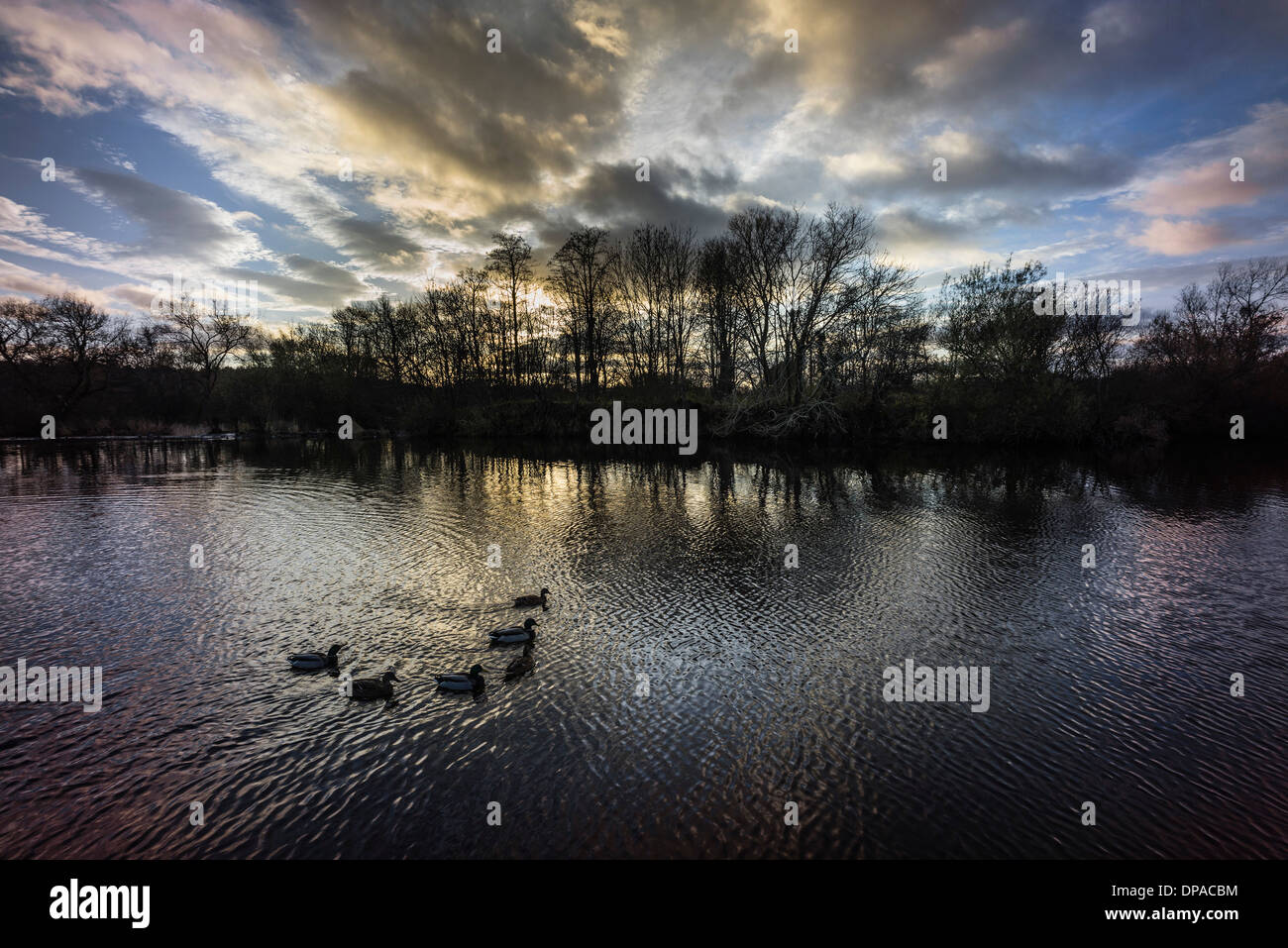 River Tweed, Scotland - dramatic sky Stock Photo - Alamy
