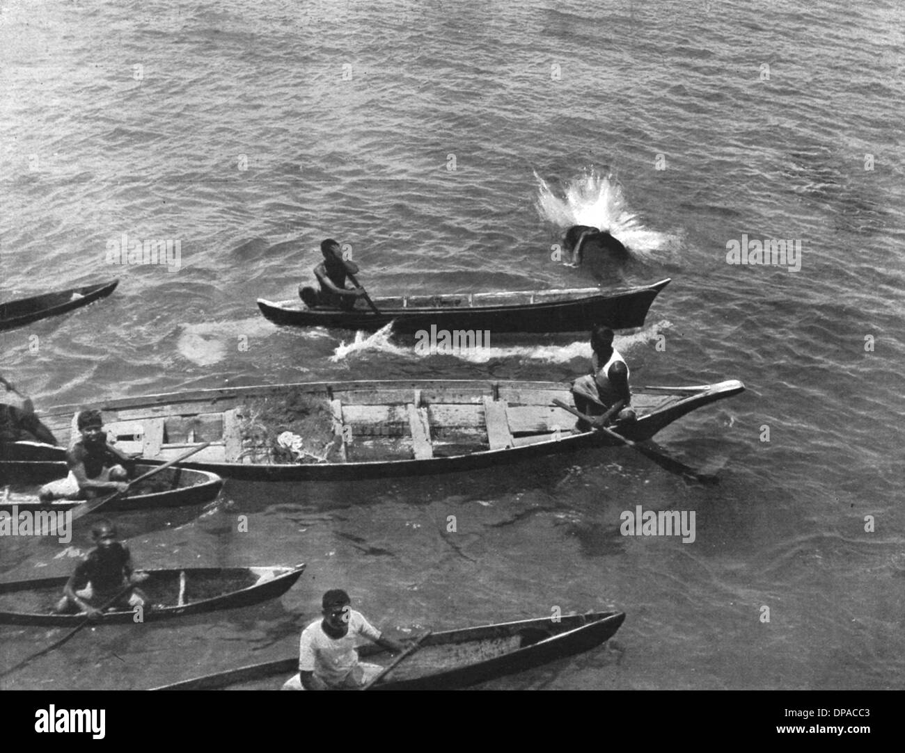 Shark boy hi-res stock photography and images - Alamy