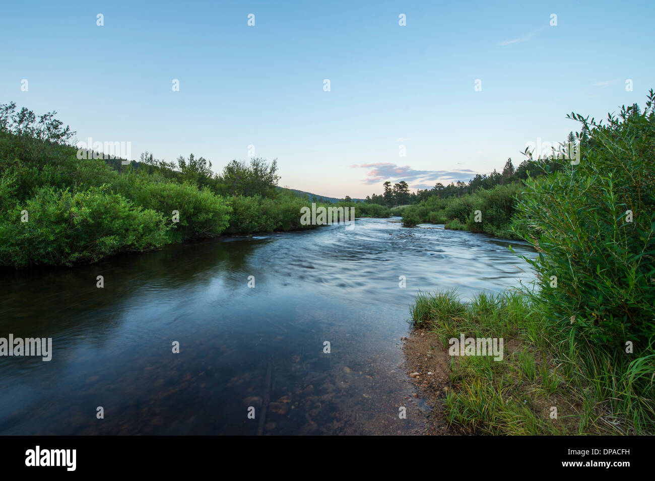 Colorado river bank grass hi-res stock photography and images - Alamy