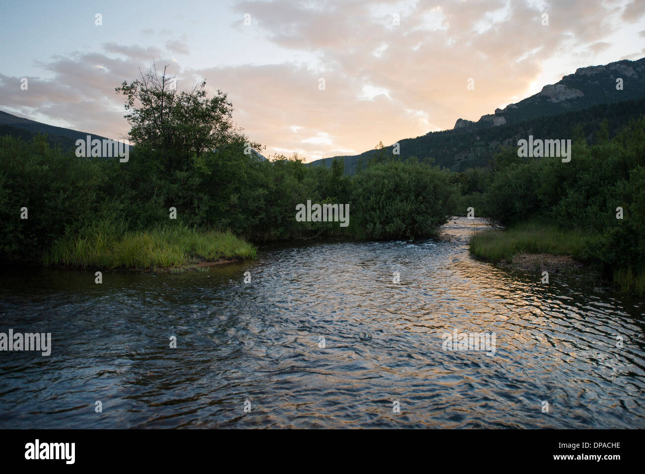 Colorado river fly fishing hi-res stock photography and images - Alamy
