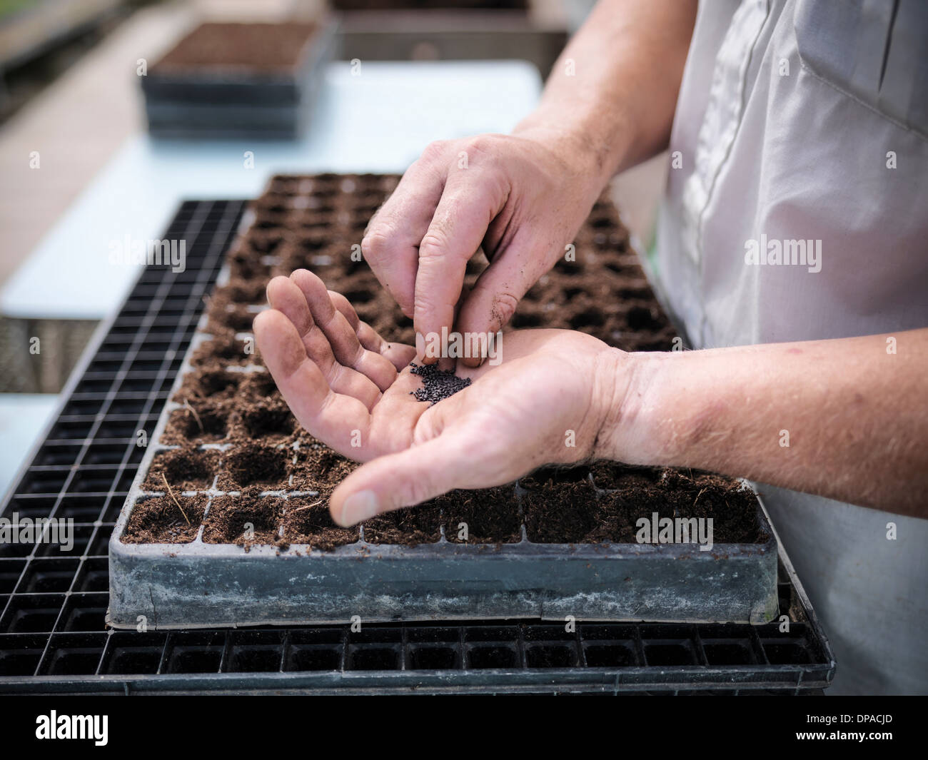 Seeds planting farm farmer hi-res stock photography and images - Alamy