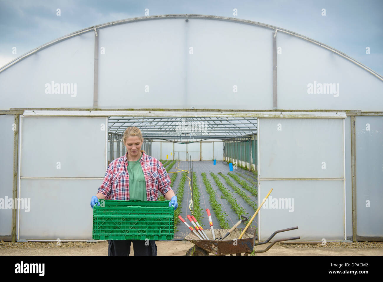 Crate farming hi-res stock photography and images - Alamy