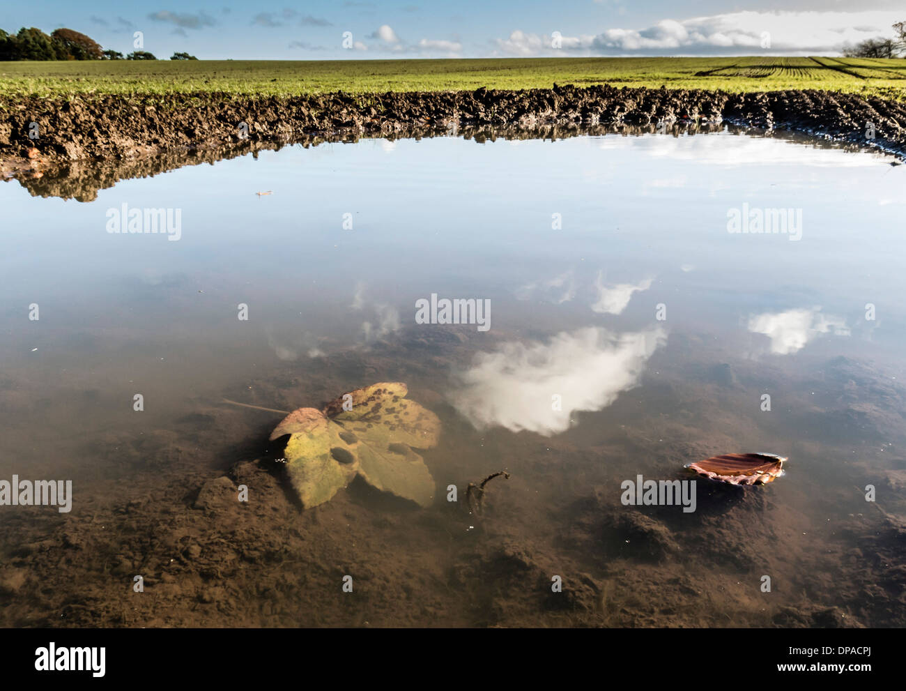 Water puddle in a waterlogged farm field - surface water, flooding ...