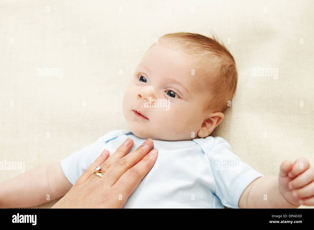 Supported Growth High Resolution Stock Photography and Images - Alamy