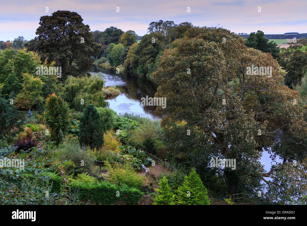 Teviot garden hi-res stock photography and images - Alamy