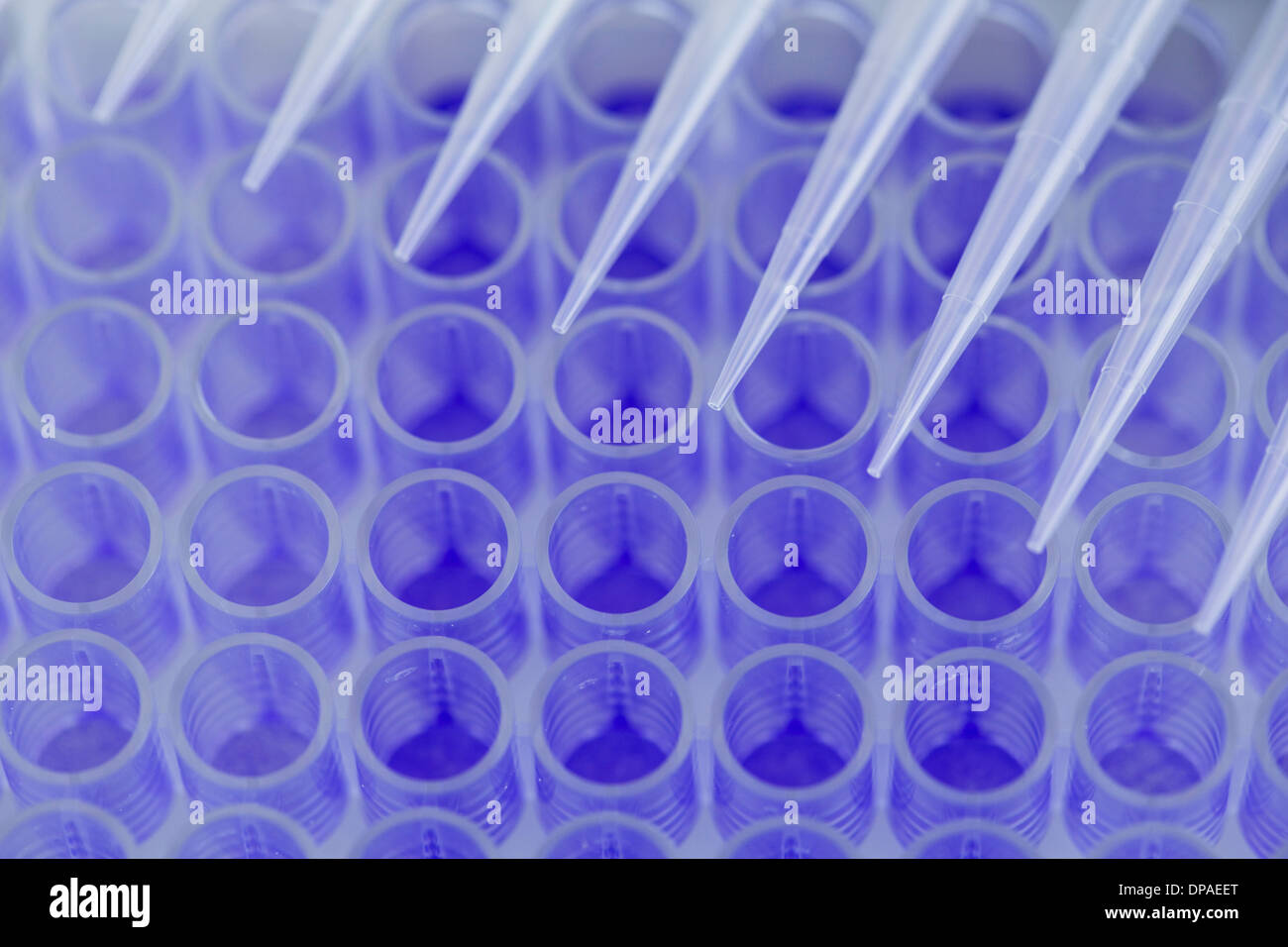 Microtiter plate hi-res stock photography and images - Alamy