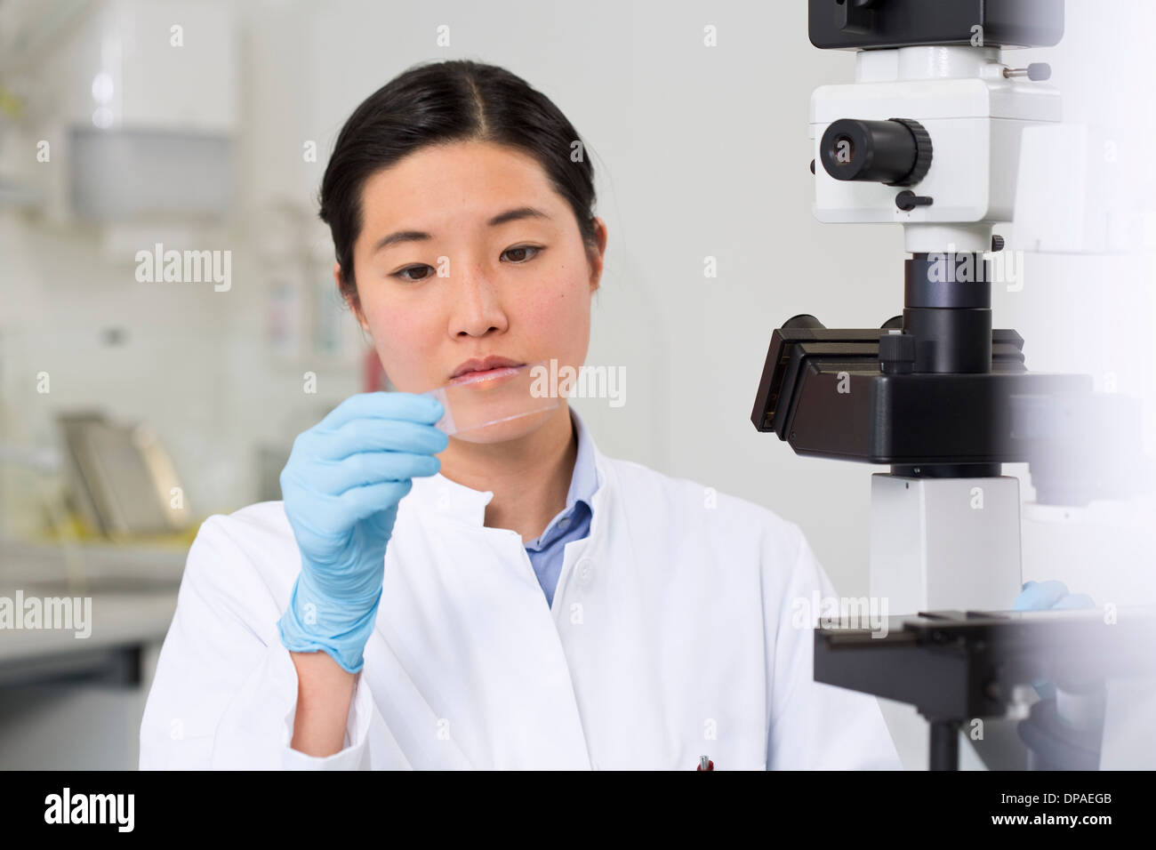 Laboratory scientist working microscope research hi-res stock ...