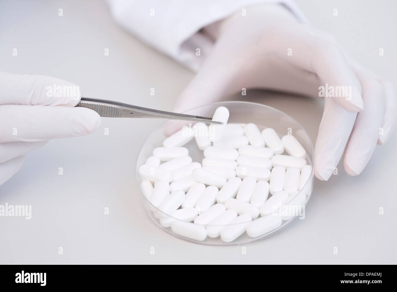 Removing tablets from petri dish with tweezers Stock Photo - Alamy