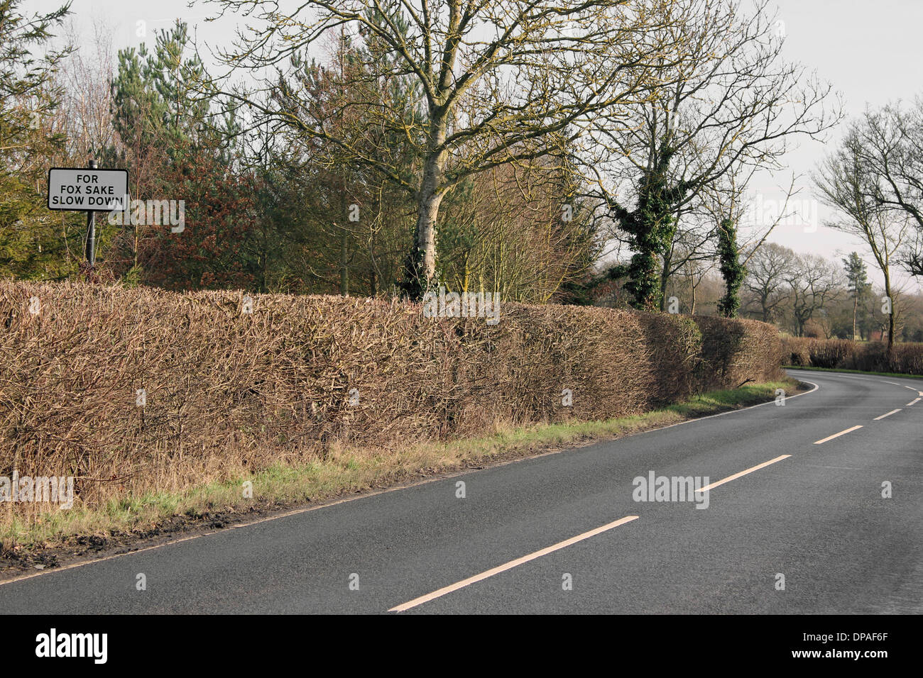 'Slow down' humorous country road sign Stock Photo - Alamy