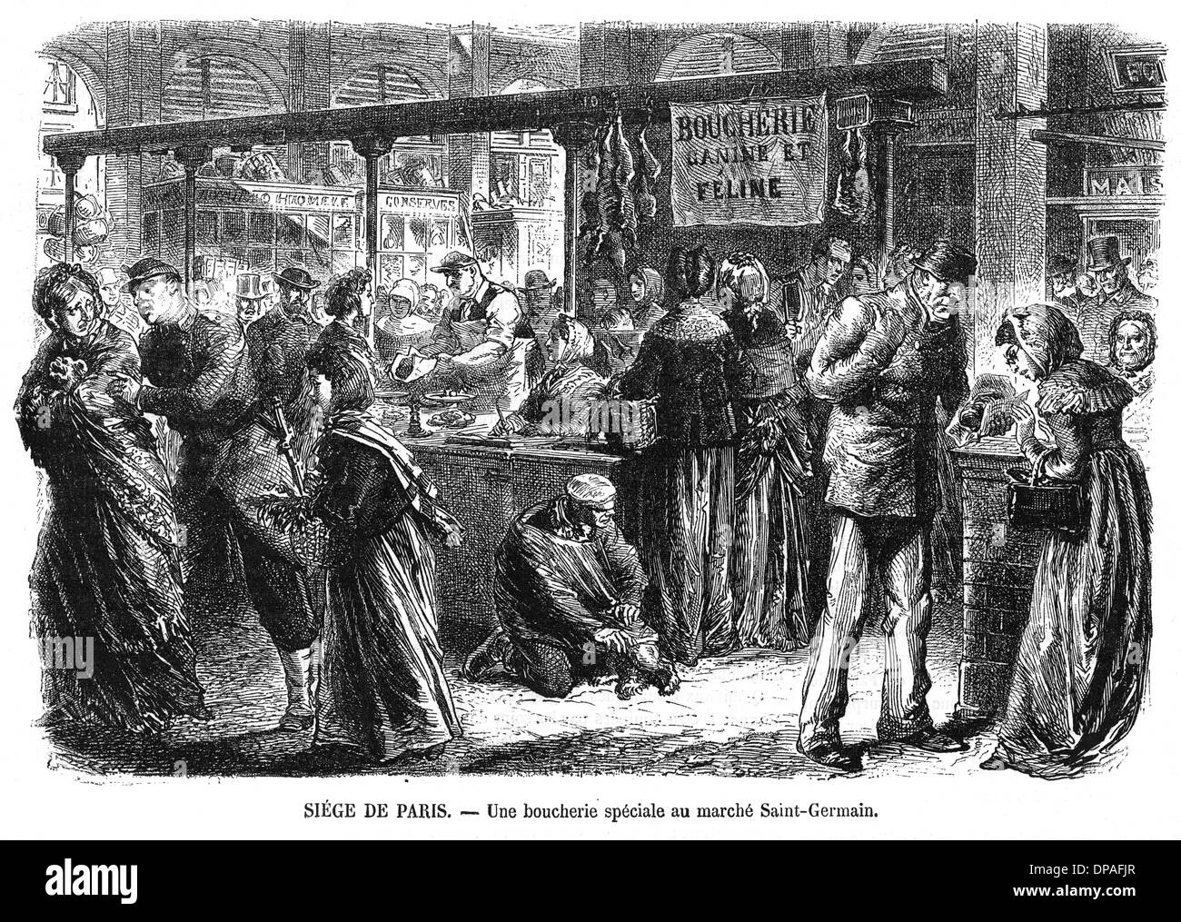 Dog butcher hi-res stock photography and images - Alamy