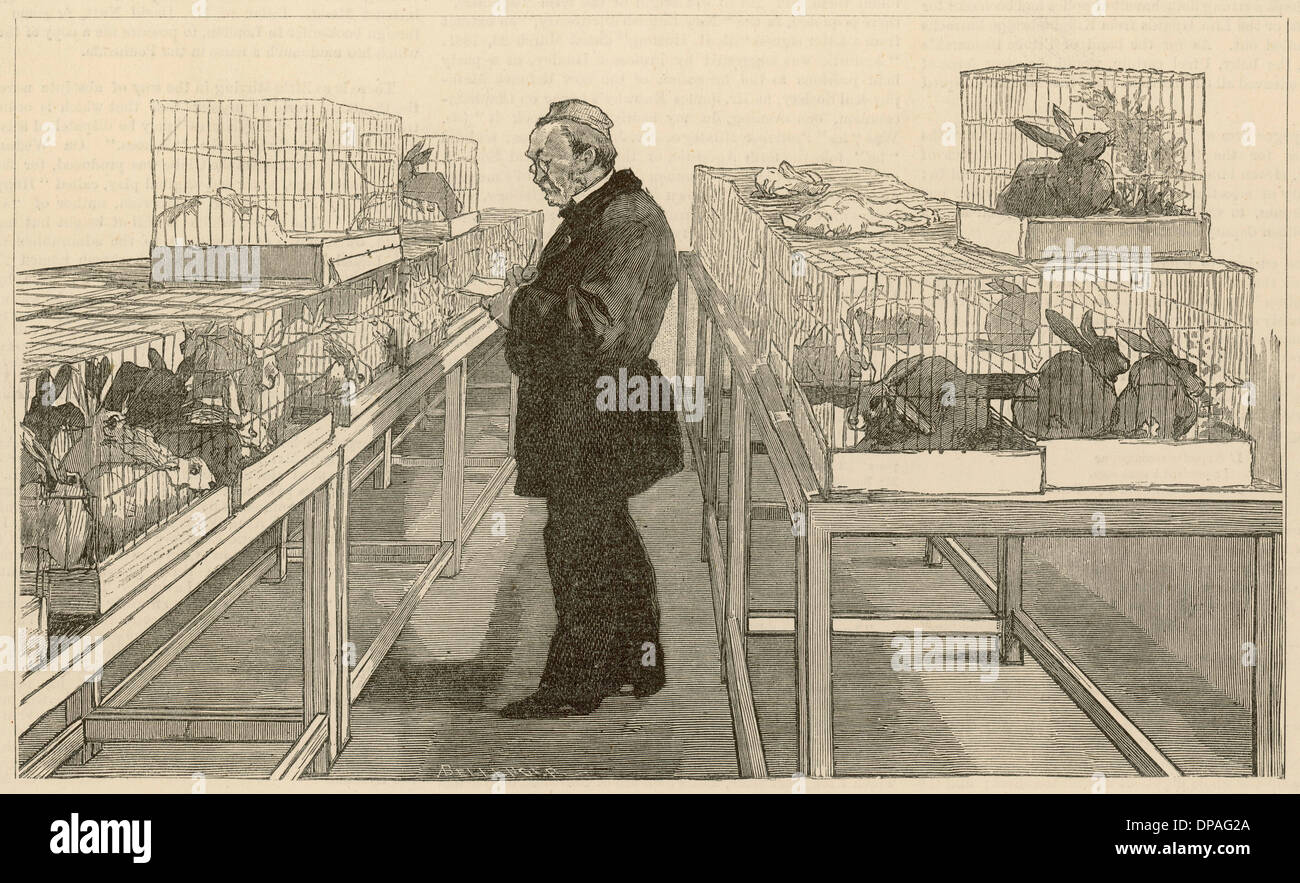 Louis pasteur in his laboratory hi-res stock photography and images - Alamy