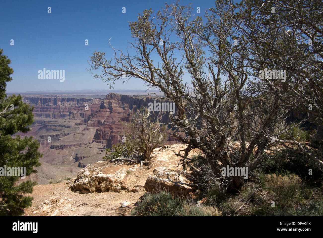 Grand canyon from rim hi-res stock photography and images - Alamy