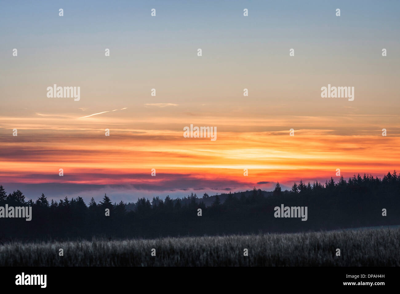 Sunset, Nussbaum, Baden-Wurttemberg, Germany Stock Photo - Alamy