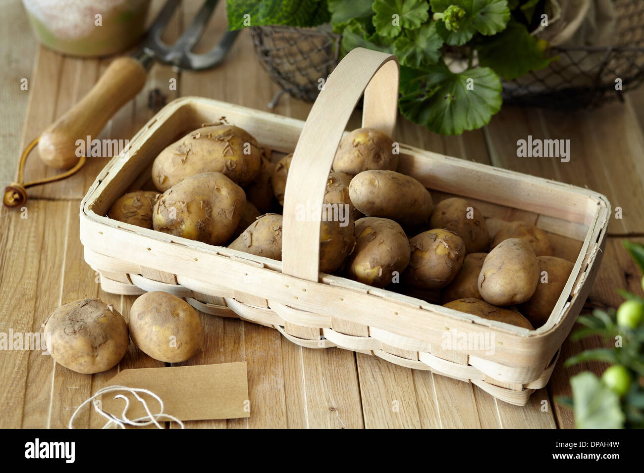 Potato basket hi-res stock photography and images - Alamy