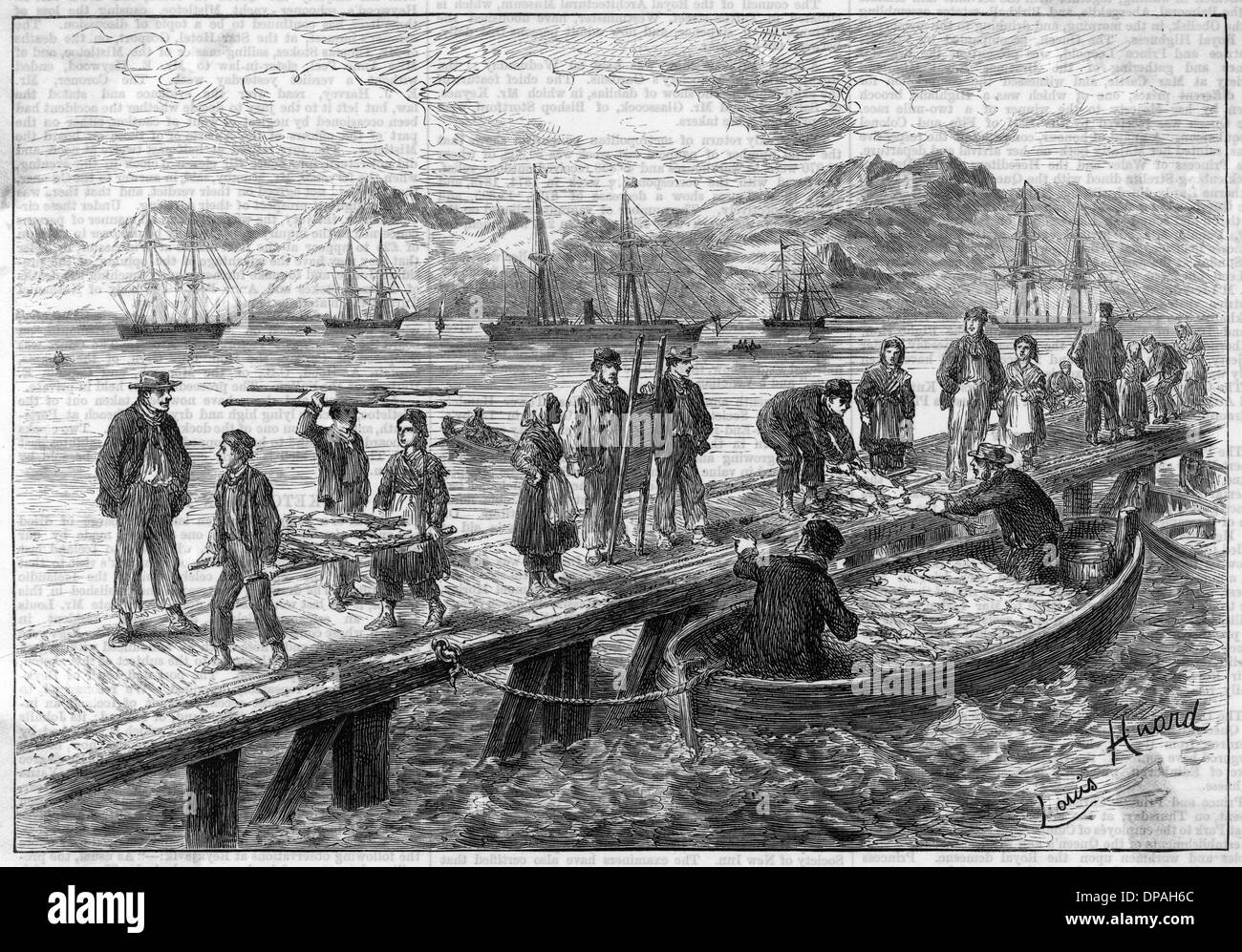 Landing dried cod at Reykjavik Stock Photo - Alamy