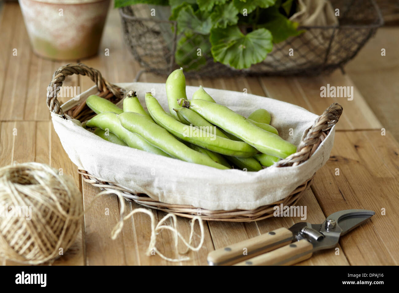 Ball beans hi-res stock photography and images - Alamy