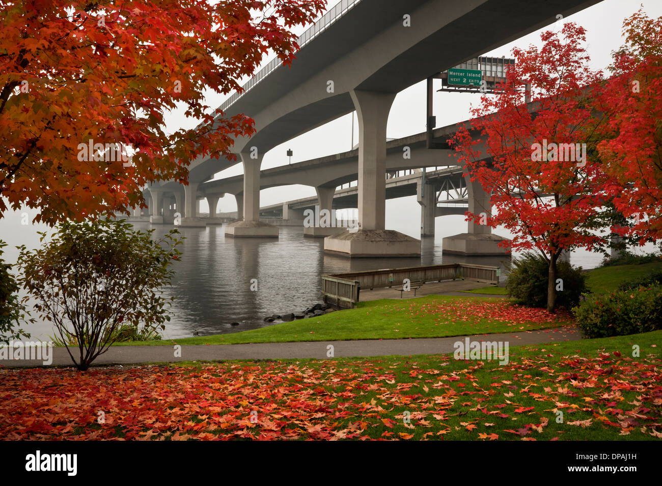 WASHINGTON - Fall color on a foggy day along the shores of Lake ...