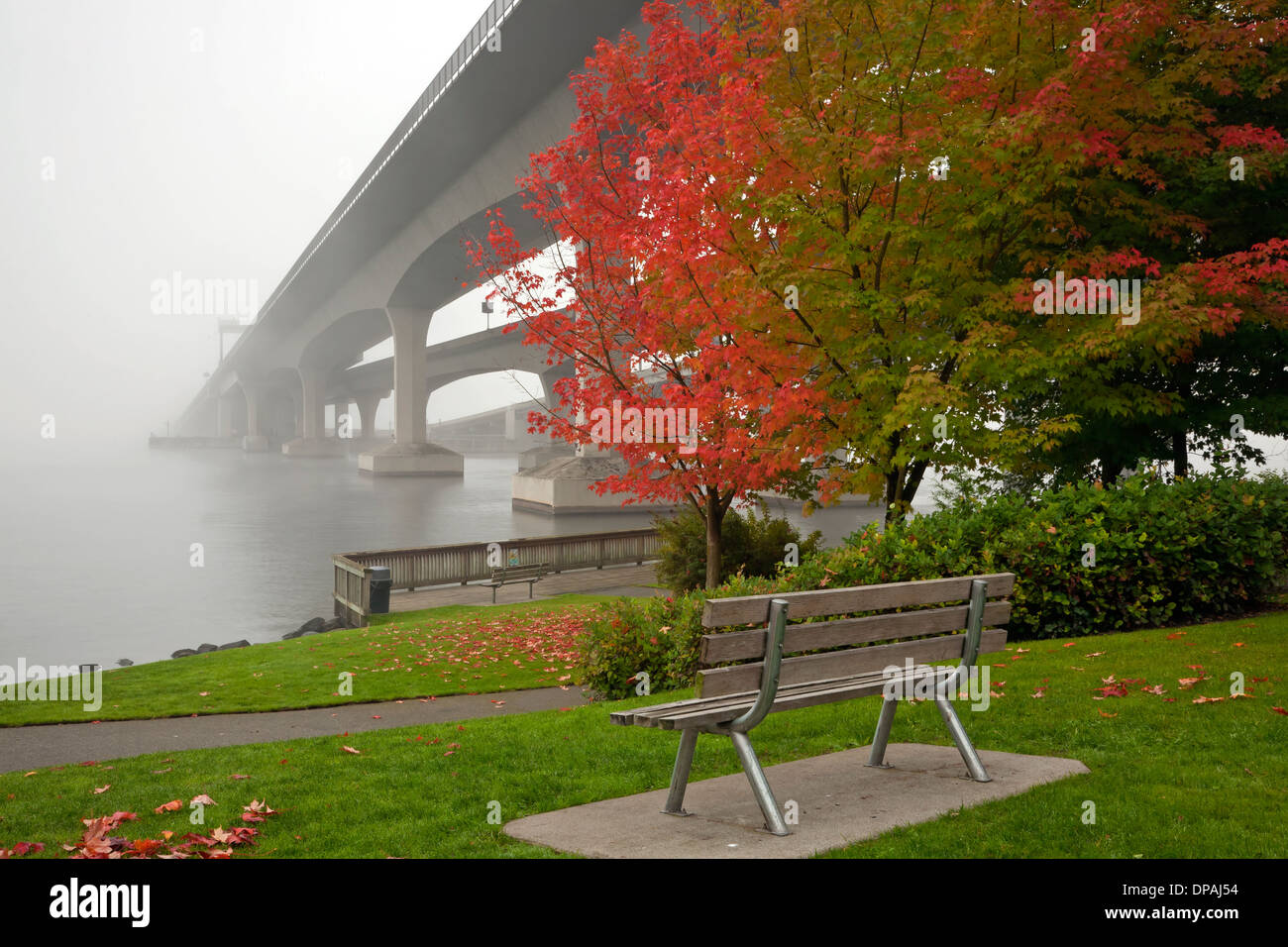 WASHINGTON - Fall color on a foggy day along the shores of Lake ...