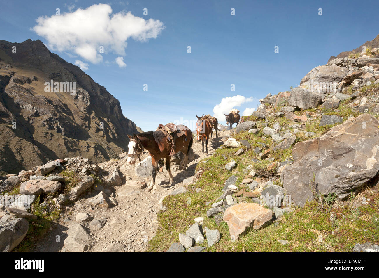 Craggy mountain train hi-res stock photography and images - Alamy