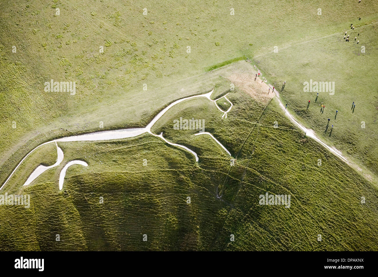 Uffington Horse Ground View