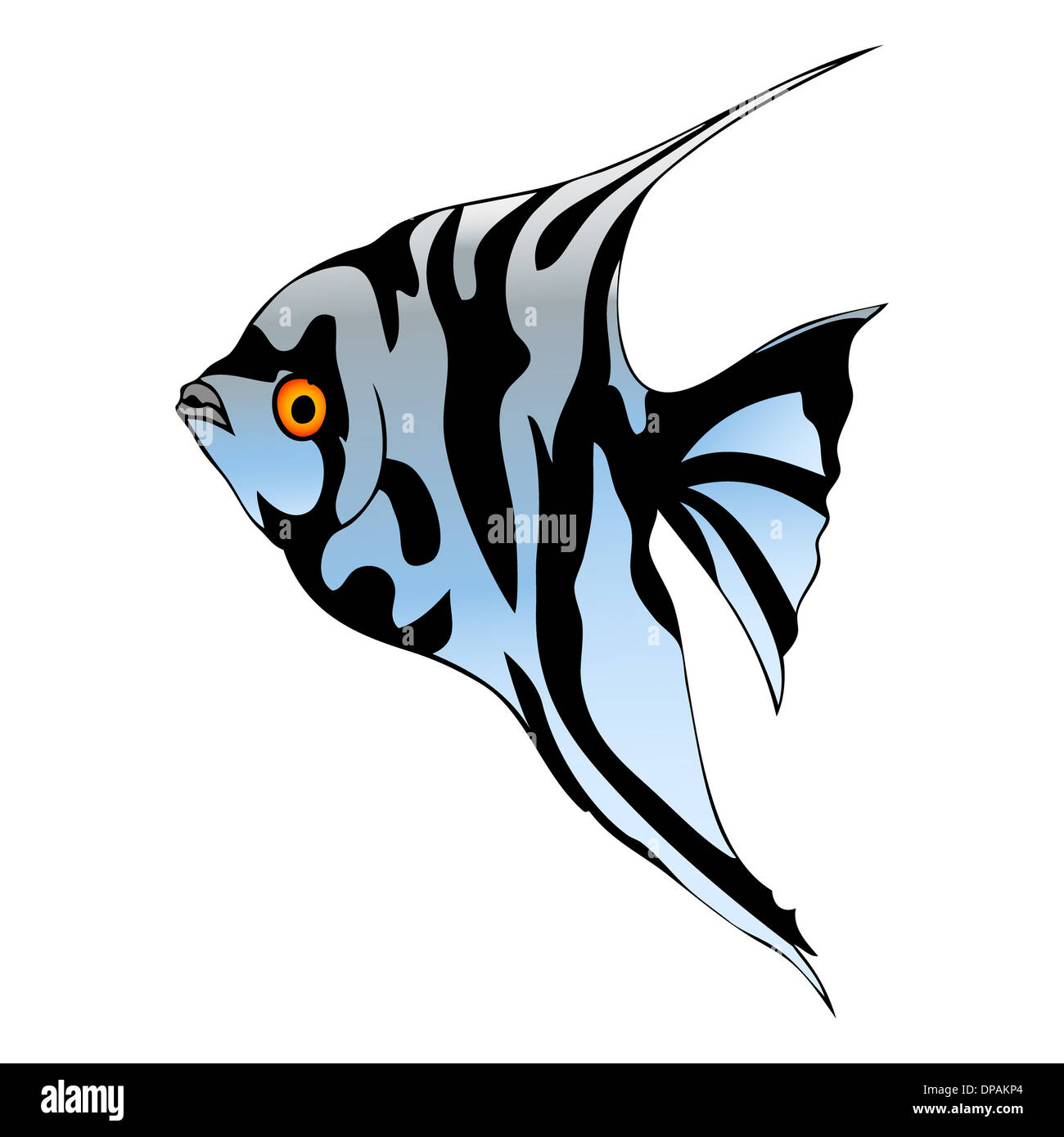 Graphic fish isolated on white background Stock Photo - Alamy